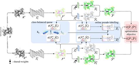 Overview Of Nops We Random Augment The Input Point Cloud Twice And