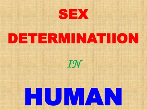 Sex Determination Chromosomal Theory Of Sex Determination Pptx