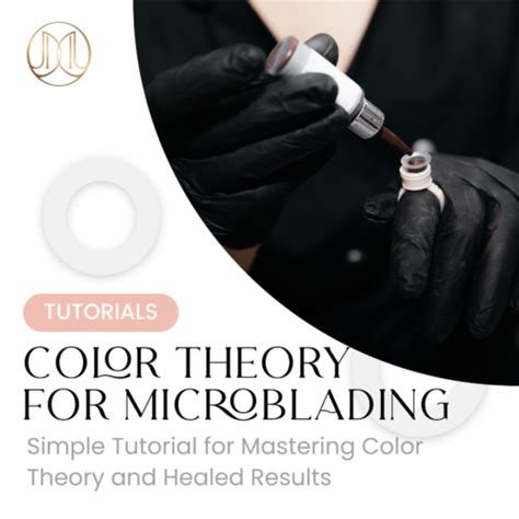 Color Theory For Microblading Brow Design International