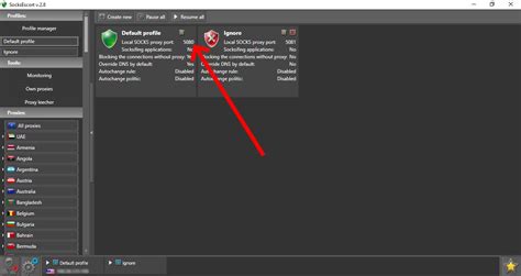 Mozilla Firefox DNS Issue Fix SocksEscort