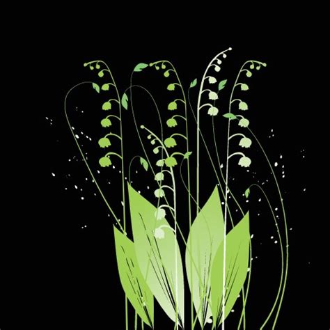 Free Lily Vector Images Over 410