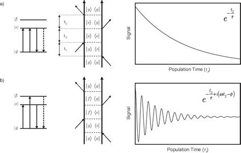 Figure 1 From Global Analysis Of Coherence And Population Dynamics In