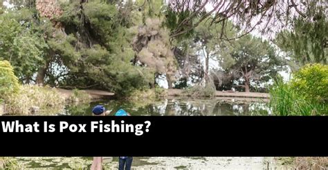 What Is Pox Fishing 2026 Guide Gold Koi Fish