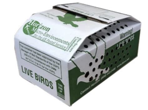 Best Usps Approved Live Bird Shipping Boxes Your Ultimate Buying Guide Furry Folly