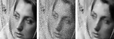 Figure 1 From Image Denoising Based On Sparse Representation In A