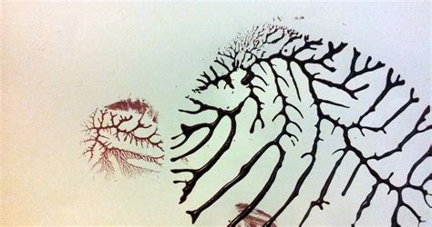 Blog Matthen Com Creating Some Fractal Patterns By Pressing Paint