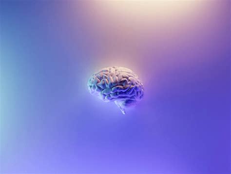 Best Neuroscience Phd Programs Careers And More [2025]