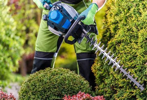 How To Lubricate A Hedge Trimmer Step By Step Guide