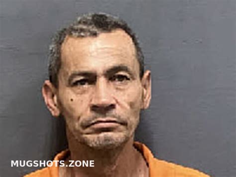 Lioy John 11 26 2024 Houston County Mugshots Zone