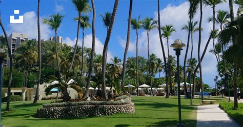 화창한 날에 야자수가있는 공원 사진 Unsplash의 무료 길 이미지