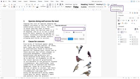How To Use Find And Replace In Collabora Online Writer Collabora Online And Collabora Office