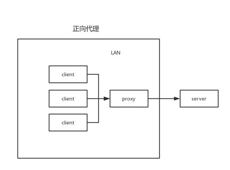 GitHub hua1995116 proxy porxy 源码解析以及实现 GitHub hua1995116 proxy porxy 源码解析以及实现