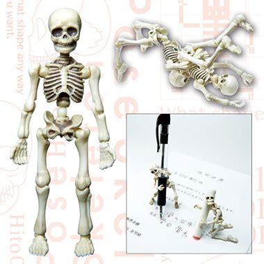 포즈 스켈레톤 인간 5월입고완료 4521121300320 리멘트 포즈스켈레톤 뼈다귀피규어뼈다귀 해골피규어해골시리즈 뼈피규어 포즈 스켈레톤 Pose Skeleton