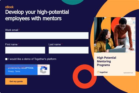 Examples Of High Potential Programs Together Mentoring Software