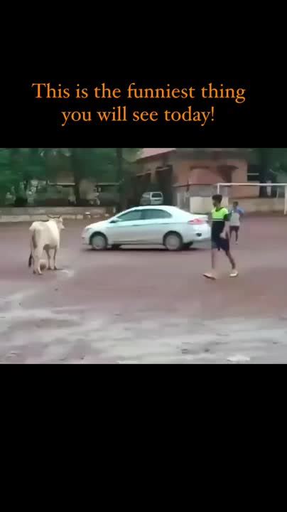 Video Atul Singh On Linkedin For Those Who Are Really In Search Of