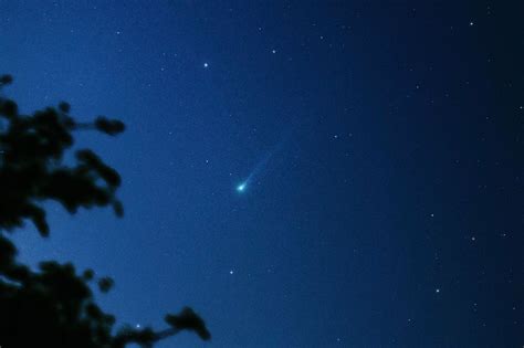 Comet Nishimura Will Be Visible In Northern Hemipshere For Five Mornings