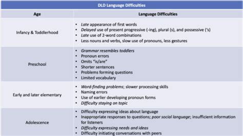 CSAD Exam Flashcards Quizlet CSAD Exam Flashcards Quizlet