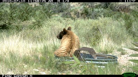 Deep Learning Visualizations Artificial Intelligence Matlab And Simulink