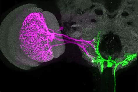 Sex Education News Research Articles