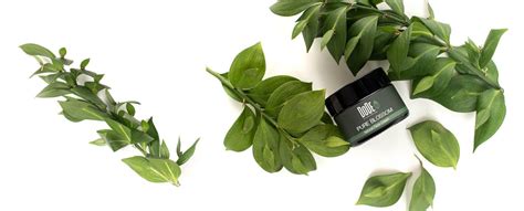 Зъболекар стоматолог Бургас Д р Въжарова и Д р Борисов СКЪПИ ПАЦИЕНТИ С НАБЛИЖАВАНЕТО НА