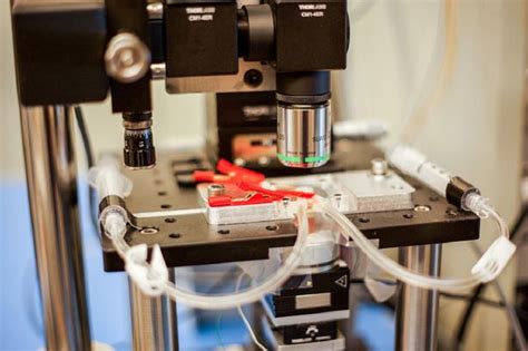 new microscope is 2 000 times faster chemical how to make image