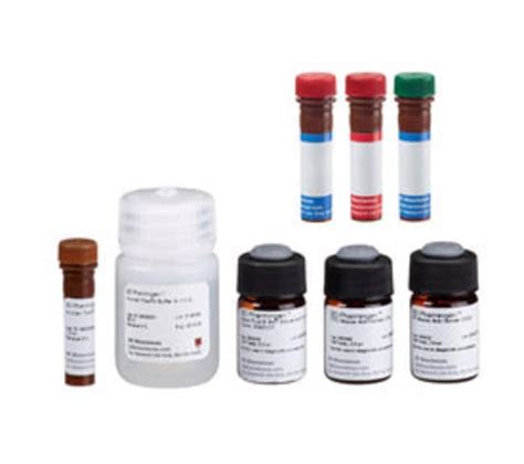 Bd Foxp3 Staining Kit Pe Foxp3 Cd4 Cd25antibodies Fisher Scientific