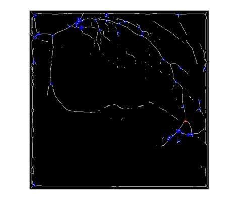 I Need To Find Bifurcation Angle In Left Main Coronary Artery In X Ray
