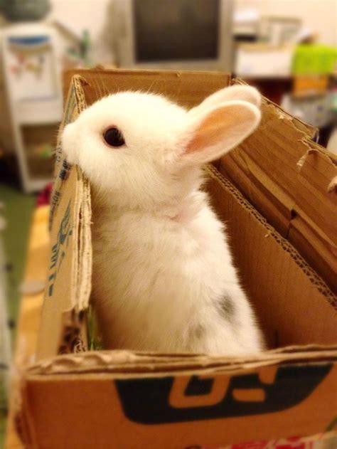 百度贴吧——全球最大的中文社区