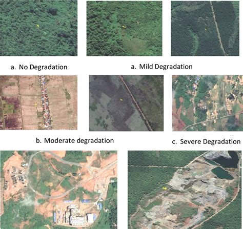 Figure 1 From Wetland Degradation Monitoring Using Multi Temporal
