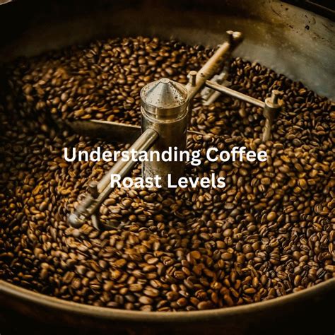 Understanding Coffee Roast Levels