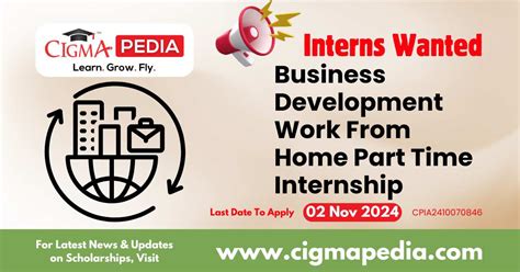 Business Development Work From Home Part Time Internship By Pawzz Foundation How To Apply For