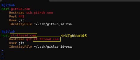 【版本控制】github和gitlab同时使用sshgithub Gitlab Ssh Csdn博客