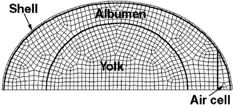 Mesh Composed Of 1247 Elements And 1051 Nodes Download Scientific