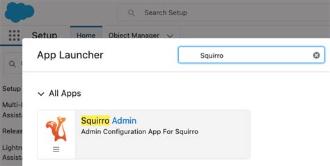 Squirro For Salesforce Installation — Squirro Documentation