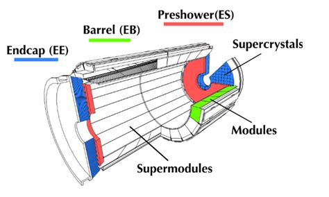 Schematic Ecal Layout Download Scientific Diagram