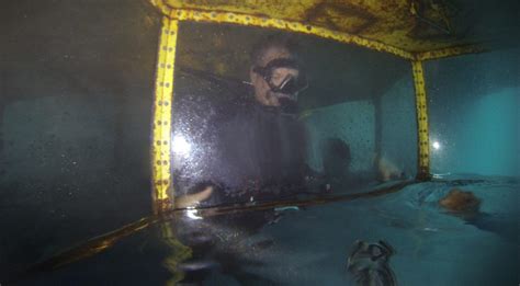 Diving Blue Grotto Padi Nitrox Class Williston Florida • Deep