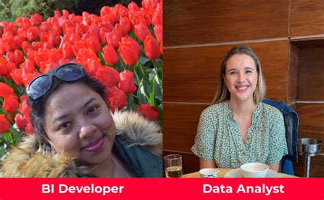 Data Analyst Vs Bi Developer Gousto Engineering And Data