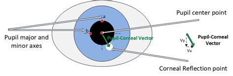 Introduction To Eye Tracking With The Trackpixx3 Vpixx Technologies