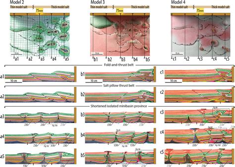 Top Views Top And Representative Cross Sections Bottom Of Models 2 Download Scientific