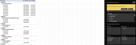 relationship match troubles in pivot table r excel