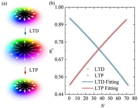 On Chip Skyrmion Synapse Regulated By Oersted Field Aip Advances Aip Publishing