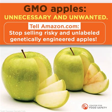 The First Gmo Apple — Known As Center For Food Safety