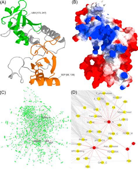 The Second Critical Assessment Of Protein Function Annotations Byte Size Biology