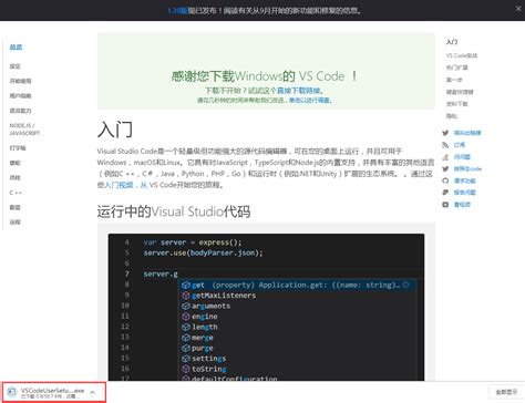 vscode软件的下载安装 知乎