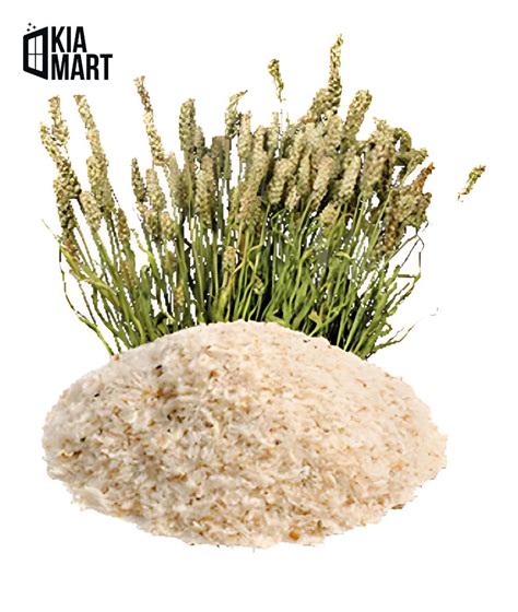 Ispaghool Husk Inp Kiamartpk