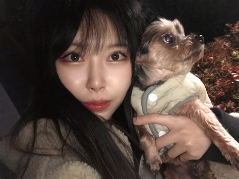 ʚ초코ɞ Yokki Choco • Instagram Photos And Videos