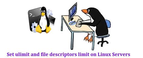 How To Set Ulimit And File Descriptors Limit In Linux