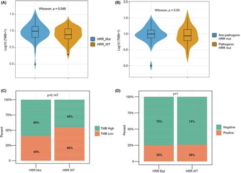 Hrr Gene Mutations Were Associated With A High Tmb But Not With Pd‐l1