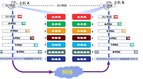计算机网络体系结构 csdn博客