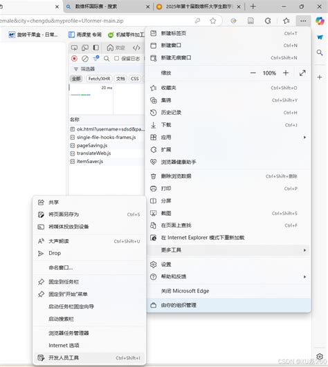 深入理解表单 提交用户与网页交互的重要方式：get 与 post 的本质区别与应用实践 表单网页交互 csdn博客